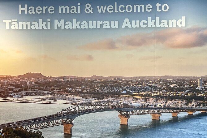 Private Transfer From Auckland Airport To Omaha And Snells Beach - Why Choose a Private Transfer Over Other Options?