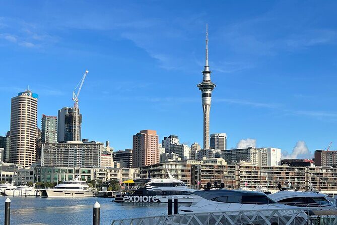 Private Transfer From Auckland City To Auckland Airport - An In-Depth Look at the Auckland Airport Transfer Experience