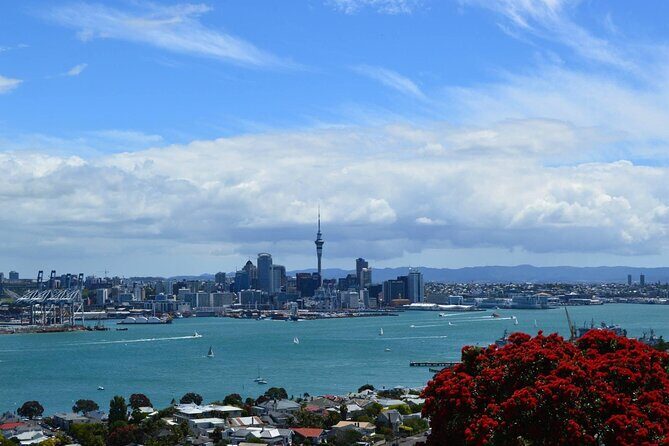 Private Transfer From Auckland City To Auckland Airport Oaks - In-Depth Review of the Auckland Transfer Service