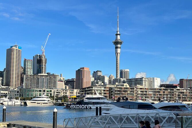 Private Transfer From Auckland City To Auckland Airport Oaks - Final Thoughts