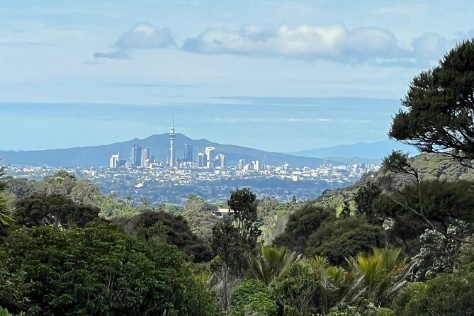 Private Transfer From Auckland International Airport To Auckland City - Practical Details & Tips for Booking