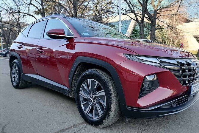 Private transfer from Belgrade or Belgrade Airport to Novi Sad - Why Choose This Private Transfer?