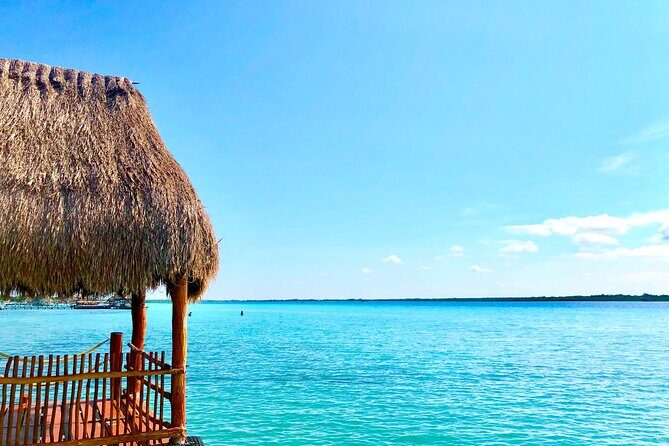 Private Transfer from Cabo San Lucas to La Paz - An In-Depth Look at the Private Transfer Experience