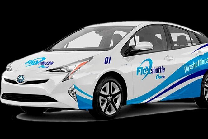 Private Transfer from Cozumel Airport - Who Should Consider This Transfer?