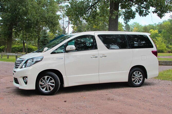 Private Transfer from Cozumel hotels to Cozumel Cruise Port - An In-Depth Look at the Transfer Experience