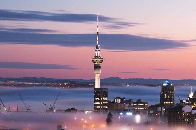 Private Transfer From Cruise Ship To Auckland CBD Hotels - What to Expect from This Auckland Cruise Port Transfer