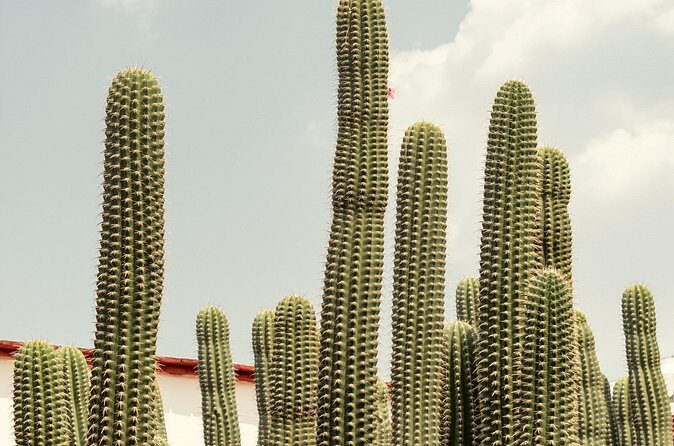 Private Transfer from Guadalajara to Morelia - Frequently Asked Questions