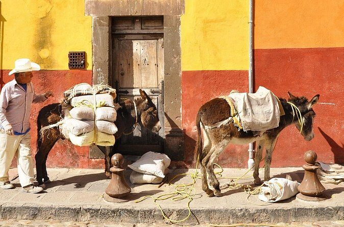 Private Transfer from Guanajuato City to San Miguel de Allende - FAQ