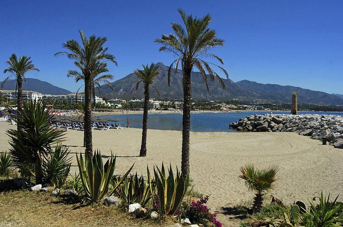 Private Transfer from Malaga airport (AGP) to Torremolinos - Real Traveler Insights