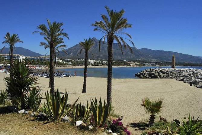 Private Transfer from Malaga airport (AGP) to Torremolinos - The Practicalities of the Service