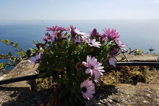 Private Transfer from Naples to Positano - What to Expect During Your Journey