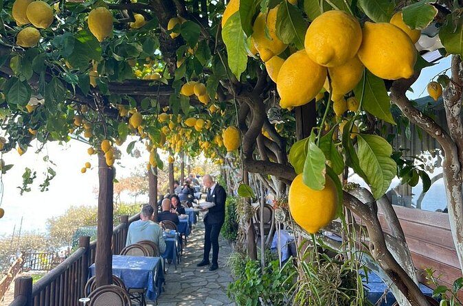 Private Transfer from Naples to Positano/Sorrento and vice versa - FAQ