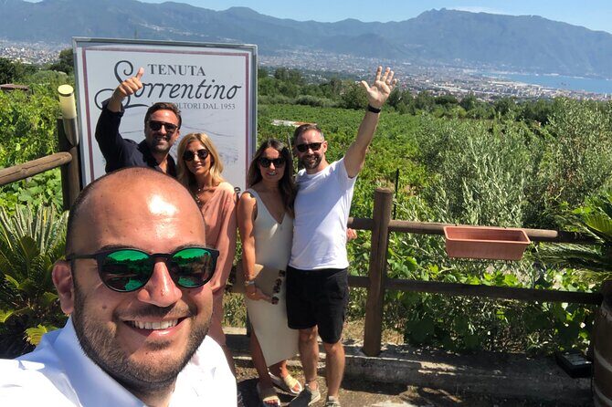 Private Transfer from Naples to Sorrento or Vice Versa - Vehicle and Comfort