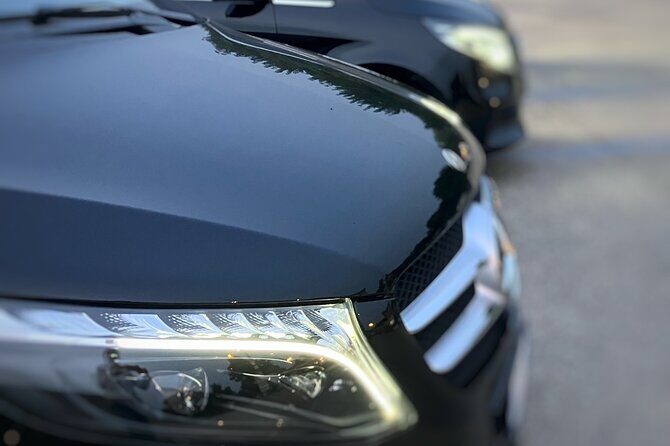 Private transfer from Napoli to Sorrento with stopover in Pompeii ruins - Exploring the Private Transfer from Napoli to Sorrento with a Stopover in Pompeii