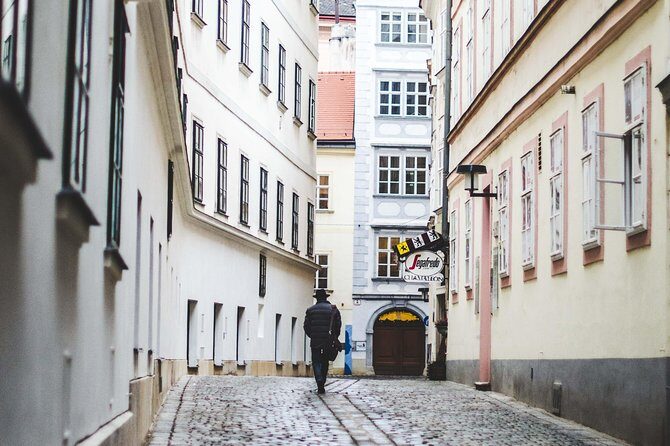 Private transfer from Salzburg to Vienna with 4h of Sightseeing - Practical Tips