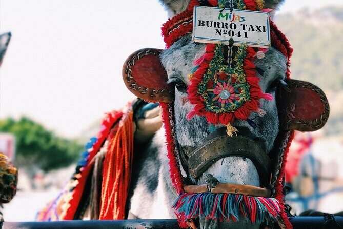 Private Transfer from San Miguel de Allende to Mexico City - Cost and Value