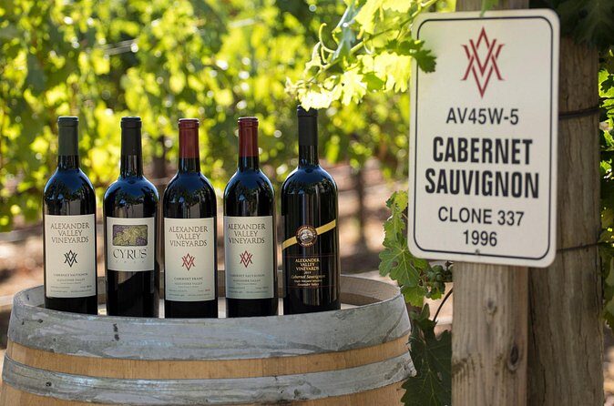 Private transfer from SFO to Sonoma - Who Will Love This Service?