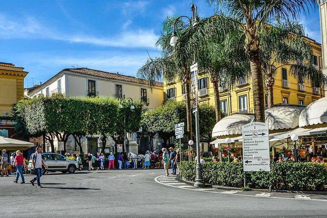 Private Transfer from Sorrento or Amalfi coast to Naples or vice versa - Private Transfer from Sorrento or Amalfi Coast to Naples or Vice Versa: A Complete Review