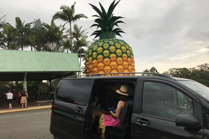 Private Transfer from Sunshine Coast Airport to Noosa up to 5 pax - Why Choose This Transfer?