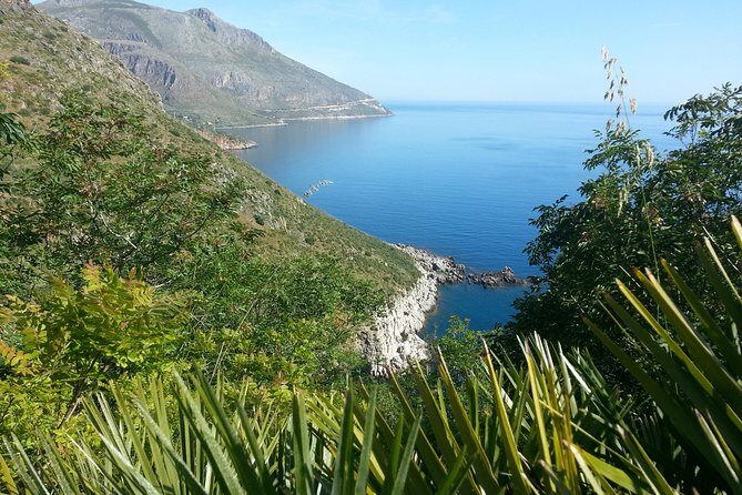 Private Transfer from/to Cefalù - What Makes the Service Stand Out?