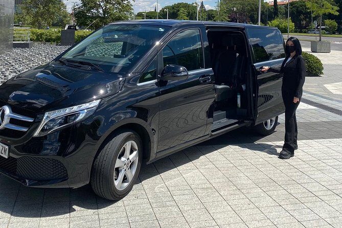Private Transfer from/to Fiumicino Airport to/from hotel in Rome - Who Will Love This Service?