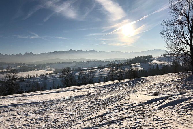 Private Transfer from/to the Krakow Airport - Who Is This Service Best For?