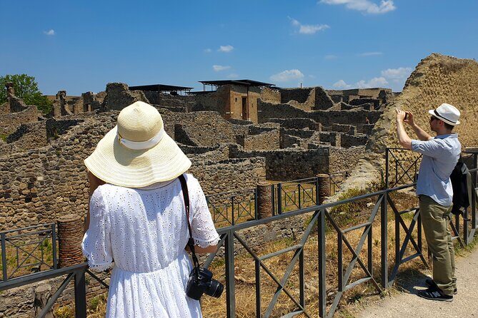 Private Transfer: Naples to Sorrento with Pompeii Guided Tour - Who Will Love This Tour?