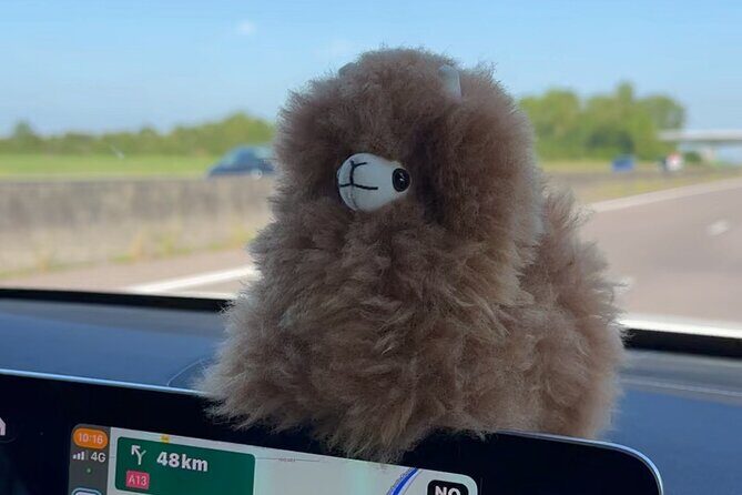 Private Transfer Paris from and to Airport (CDG, Orly, Beauvais) - Key Points