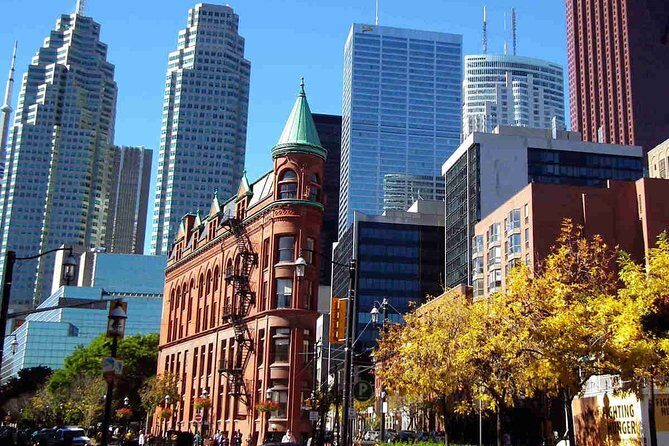 Private Transfer: Pearson Airport YYZ to Toronto in Luxury SUV - Who Will Benefit Most from This Transfer?