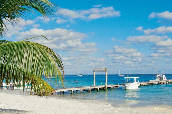 Private Transfer: Playa del Carmen to Cancun Airport CUN by SUV - Practical Details and What You Need to Know