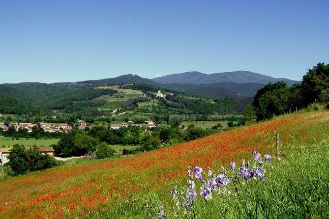 Private Transfer Rome to Florence with a stop to visit Siena - Why This Tour Is Worth Considering