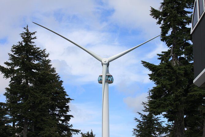 Private Transfer, Vancouver, BC to Vancouver Cruise Ship Terminal, VIP SUV - Authentic Insights from Reviews