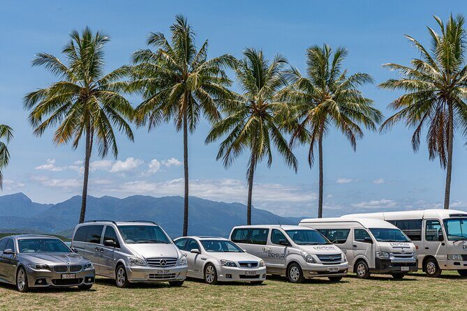 Private Transfers - Cairns Airport to Cairns City - Introduction: A Reliable First Step in Cairns
