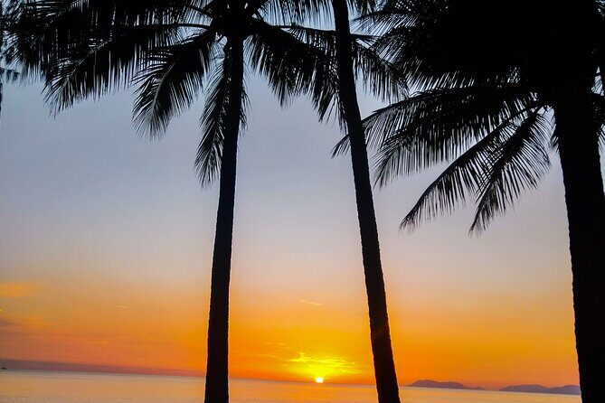 Private Transfers - Cairns Airport to Cairns City - Why This Transfer Works Well