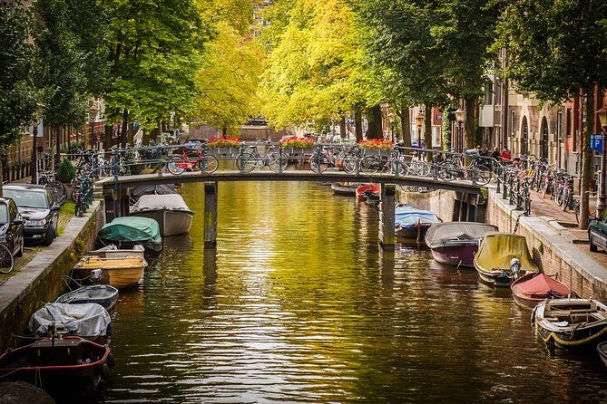 Private transfers from or to Schiphol (AMS) airport Amsterdam - Final Thoughts on Value and Experience