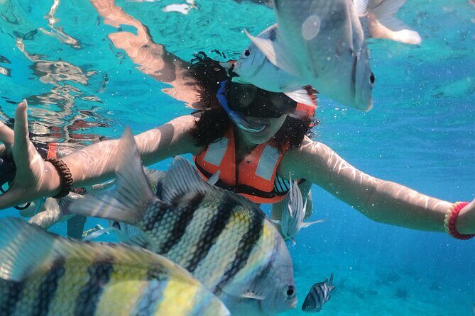 Private Transparent Boat Tour in the Sea of Cozumel - Key Points