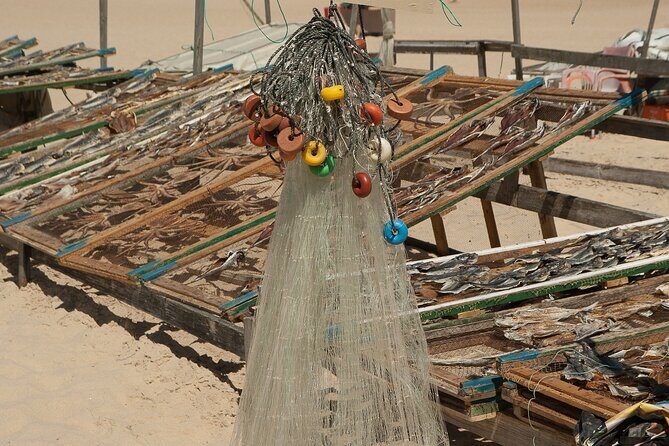 Private Transport Lisbon - Porto or Porto - Lisbon with 3 Stops - Value for Money and Practicalities