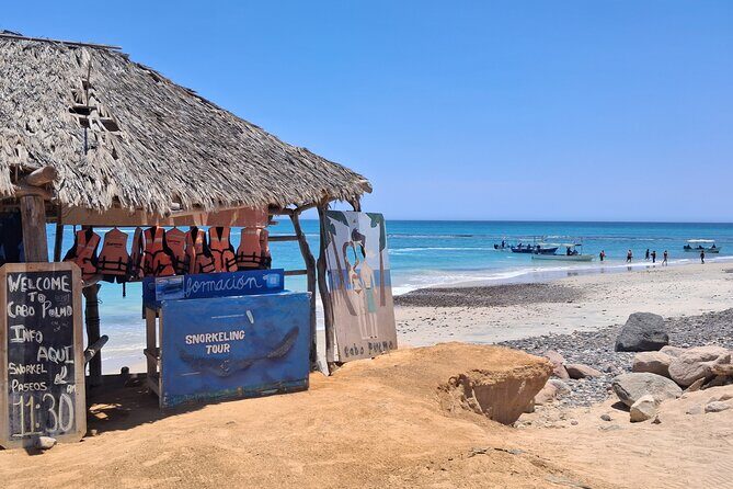 Private Transportation at VAN Airport Los Cabos - Cabo Pulmo Park - The Itinerary Breakdown