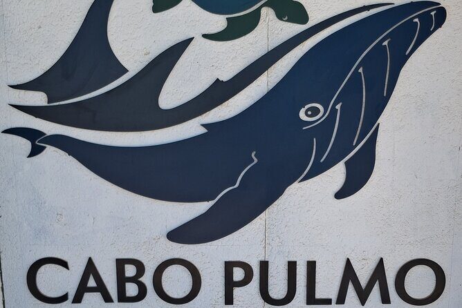 Private Transportation at VAN Airport Los Cabos - Cabo Pulmo Park - Real Traveler Insights & Tips