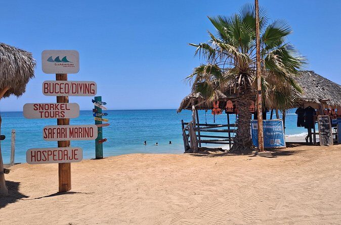 Private Transportation at VAN Airport Los Cabos - Cabo Pulmo Park - FAQ