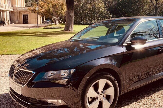 Private Transportation from Madrid Airport to City Center - What the Reviews Reveal