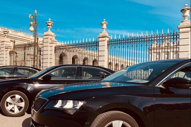 Private Transportation from Madrid Airport to City Center - Who Should Book This Service?