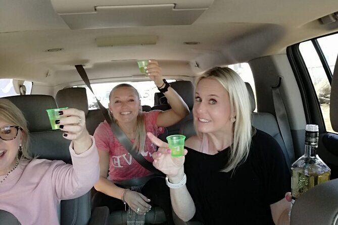 Private transportation (SAN JOSE DEL CABO) - First Impressions: What to Expect from Your Private Transfer