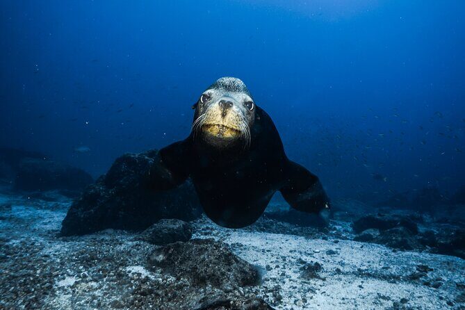 Private Trip Espiritu Santo Island - Final Thoughts