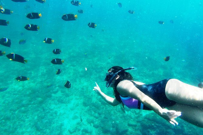 Private trip: snorkeling at Los Arcos & Colomitos beach - Practical Considerations: Price, Timing, and Accessibility