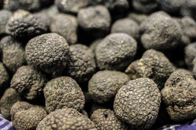 Private Truffle Hunting in Chianti - FAQ