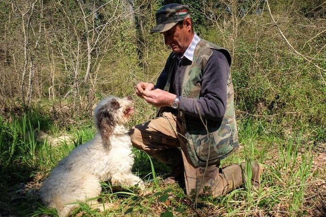 Private Truffle Hunting in Chianti from Florence - Introduction