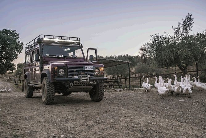Private Truffle Hunting in Chianti from Florence - Who Is This Tour Best For?