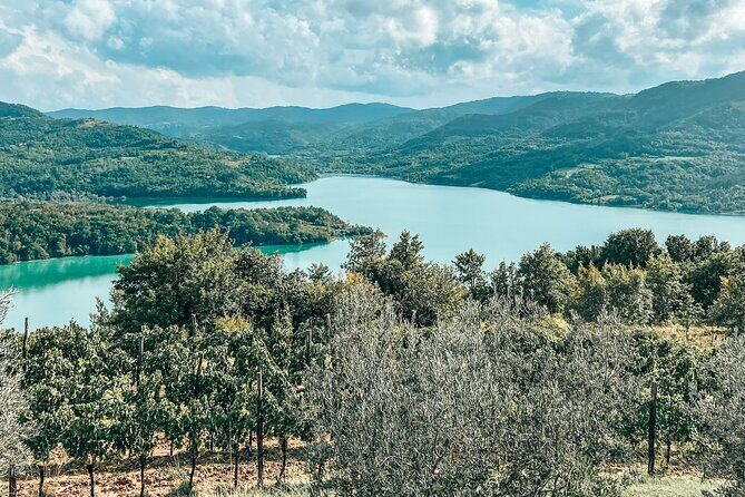 Private Truffle Hunting with Cooking Session - Key Points