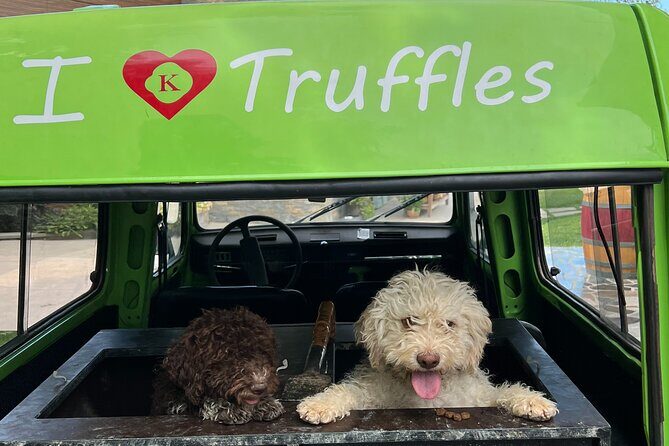 Private Truffle Hunting with Cooking Session - Practical Details: What You Need to Know